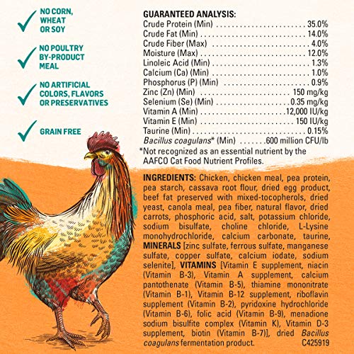 Purina Beyond Grain Free, Natural Dry Cat Food, Grain Free White Meat Chicken & Egg Recipe - 3 lb. Bag