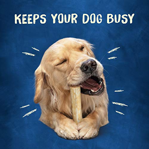 Purina Busy Rawhide Large Breed Dog Bones, Rollhide - (12) 2 ct. Pouches