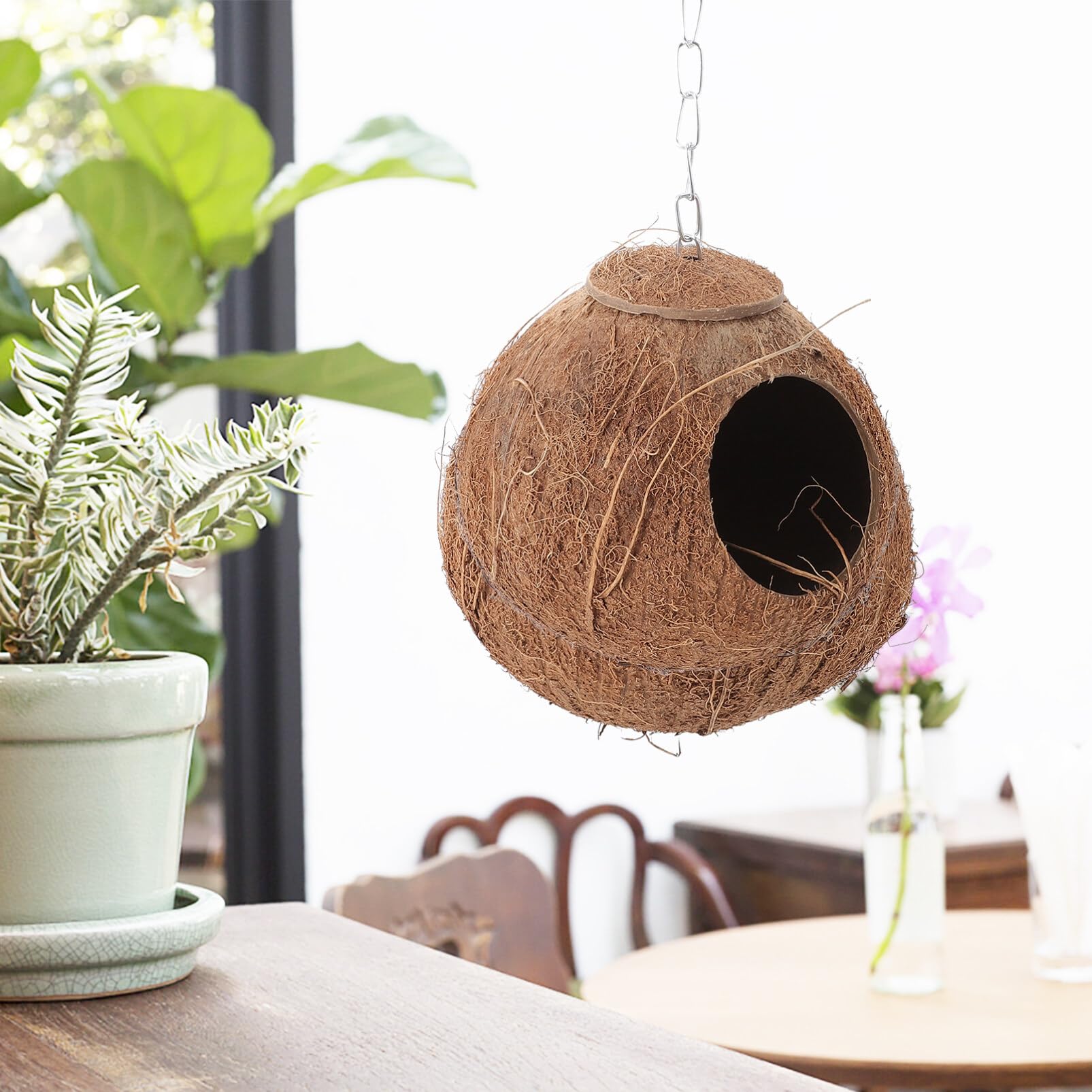 VILLCASE Outdoor Toys Bird Natural Shell Bird House Parakeet Budgie Cockatiel Finch Sparrows Breeding Nesting Bird Aviary Cage Box -Pecking Bite (Chain Style) Outdoor Playset