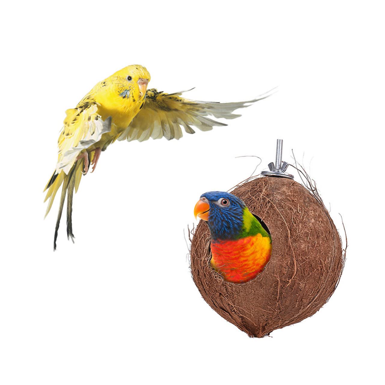BUGUUYO Coconut Shell Nest for Birds Bird Toys Coconut House Nest for Parrots Bird Nest for Small Pets Bird House