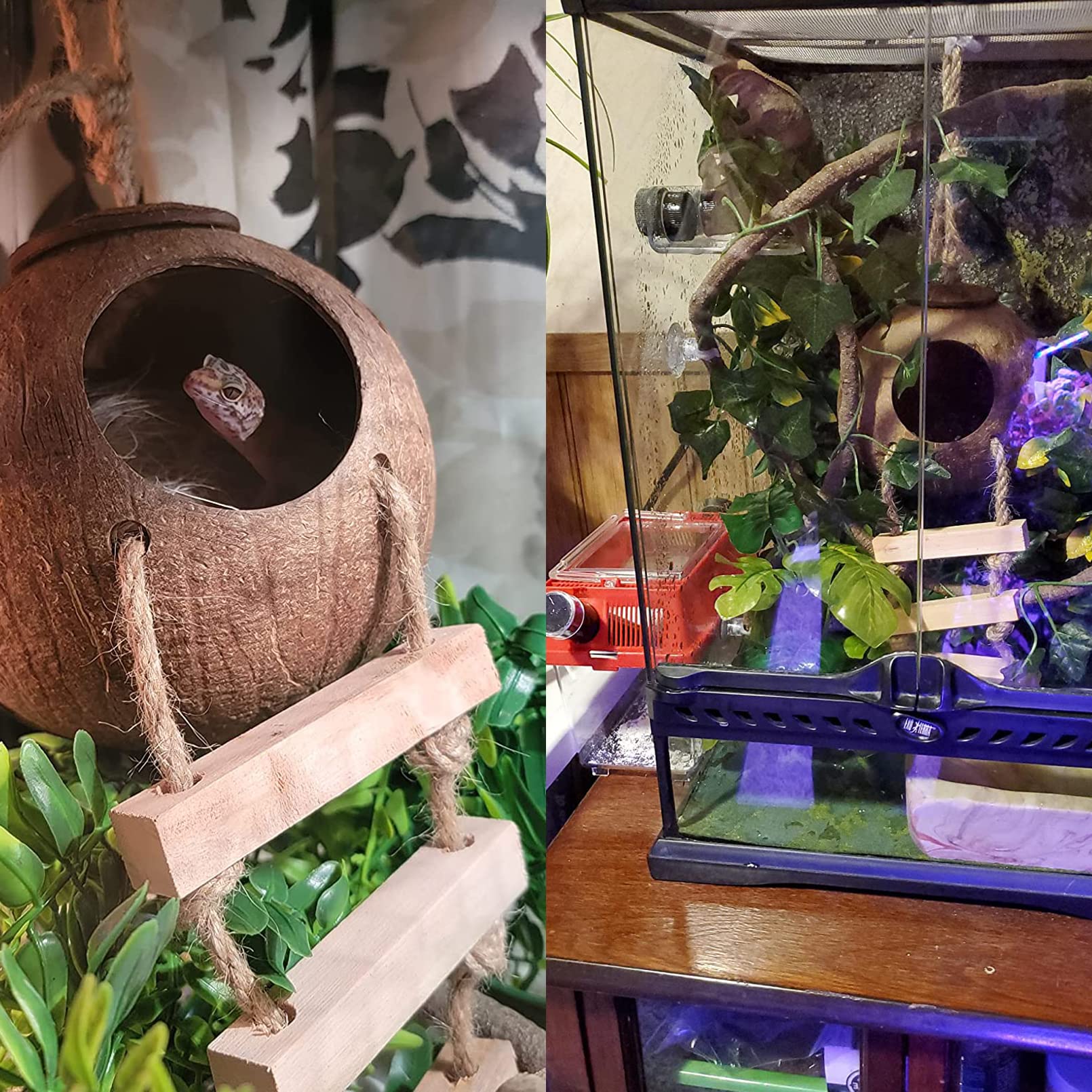 MUYG Crested Gecko Coconut Hut with Ladder,Natural Bearded Dragon Coco Den Reptile Shell Hideout Husk Hut Climbing Plants Leaves Tank Accessories for Lizard Chameleon Snakes