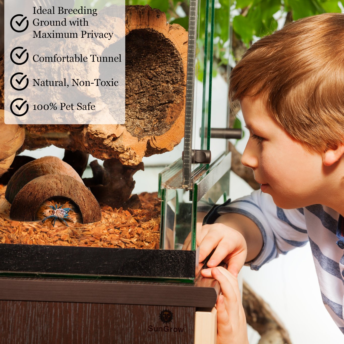 SunGrow Hermit Crab Huts, 5x3 Inches, Arthropod's Coconut Hide, Spacious Coco Tunnel, Use as Hermit Cave or Climber, 3-Pcs