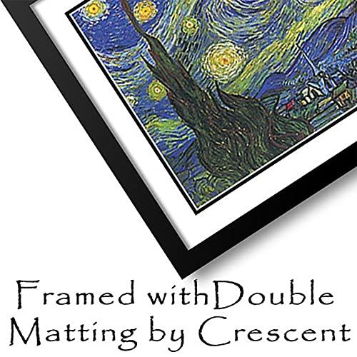 ArtDirect CO, Frisco Cassins Finch Perched on Branch 18x13 Black Modern Wood Framed with Double Matting Museum Art Print by Lord, Fred