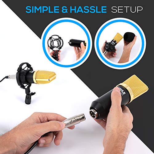 Pyle PDMIC71 Condenser Microphone Bundle, 3.5 mm Recording Microphone, Shock Mount Plug and Play,Computer Microphone, Podcast, Recording, Studio Vocal, YouTube