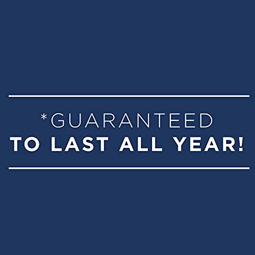 2022 Weekly & Monthly Planner by AT-A-GLANCE, 8-1/2" x 11", Large, Hardcover, Harmony, Berry (6099-905-59)