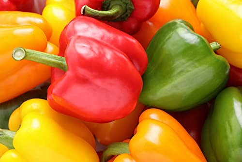 Rainbow Blend Sweet Bell Pepper Seeds, 50+ Heirloom Seeds Per Packet, (Isla's Garden Seeds), Non GMO Seeds