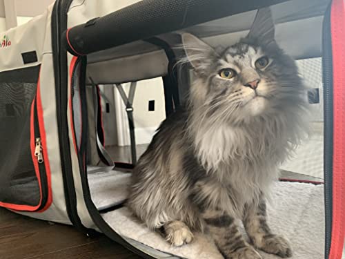 Double Pet Carrier for Cats and Dogs β Use Individually or Zip Together for Large Travel Pet Carrier β Lightweight Connect Carrier β Compact β Carry Case Included