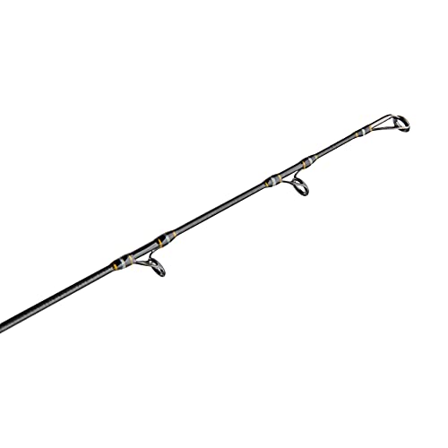 PENN Carnage III Inshore Spinning Fishing Rod