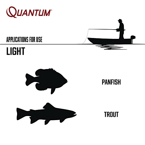 Quantum Optix Spinning Fishing Reel, Size 10 Reel, Changeable Right- or Left-Hand Retrieve, Aluminum Spool, Stainless Steel Bail Wire, 5.2:1 Gear Ratio, Silver, Clam Packaging