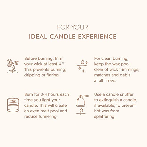 Glade Candle Jar, Large Candle Infused with Essential Oils, Air Freshener for Home Decor, Autumn Apple Tree, 16oz