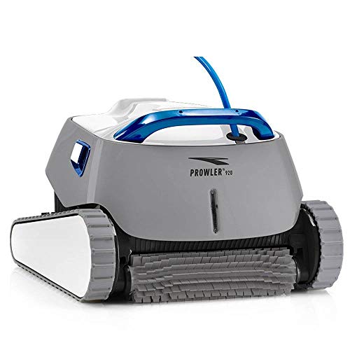 Pentair 360322, Gray