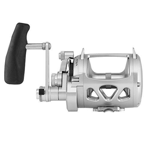 Penn International VIS 2 Speed Reel, Silver, 30