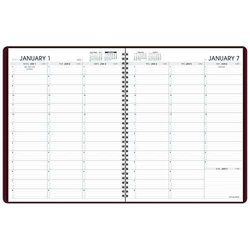 AT-A-GLANCE Weekly Appointment Book / Planner, January 2018 - January 2019, 8-1/4" x 10-7/8", Winestone (7095050)