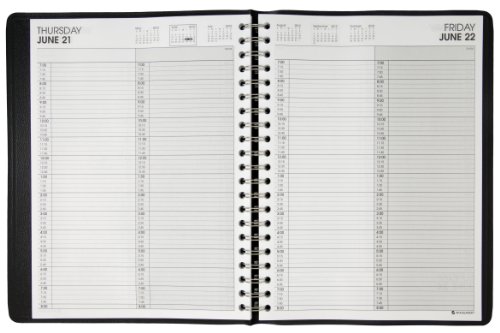 AT-A-GLANCE Recycled Two Person Daily Appointment Book, 8 x 11 Inches, Black, 2012 (70-222-05)