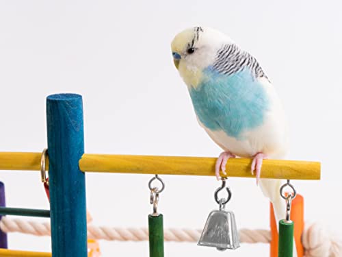 Penn-Plax Bird Life Wooden Playpen β Perfect for Parakeets, Lovebirds, and Parrotlets β Small