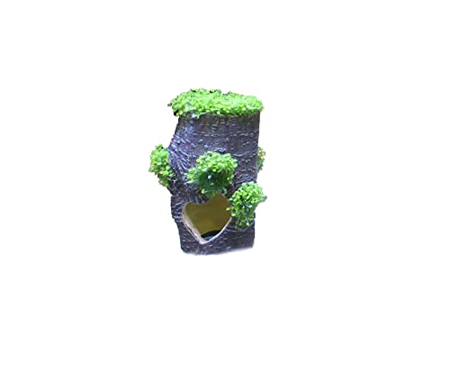 Penn-Plax Aqua-Flora Aquarium Living Resin Decoration with Embedded Glosso Plant Seeds – Tree Base – Safe and Healthy for Freshwater Fish
