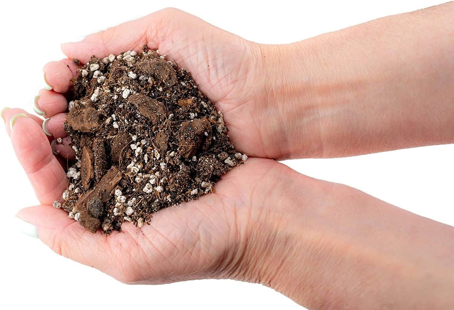 Gardenera Organic Banana Tree Soil Blend - 1 Quart - Nutrient-Dense Mix for Robust Growth and Sweet, Juicy Bananas - Crafted with Care for Exceptional Results