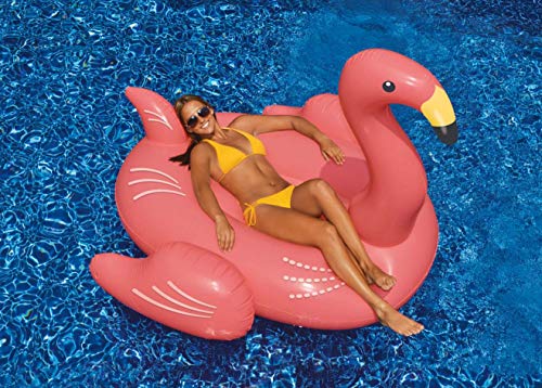 Swimline Giant White Swan/Flamingo/Black Swan/Parrot Floats for Swimming Pools (4 Pack)
