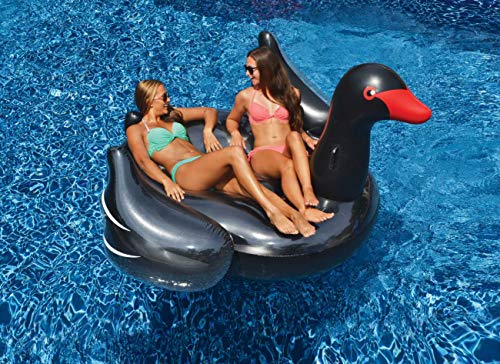Swimline Giant White Swan/Flamingo/Black Swan/Parrot Floats for Swimming Pools (4 Pack)