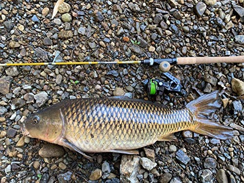 Abu Garcia ZMSS-605L Pack Rod, Spinning Zoom Safari
