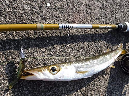 Abu Garcia ZMSS-605L Pack Rod, Spinning Zoom Safari