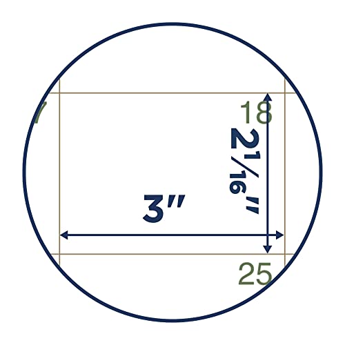 AT-A-GLANCE 2023 RY Two Color Monthly Desk Pad, Large, 21 3/4" x 17"