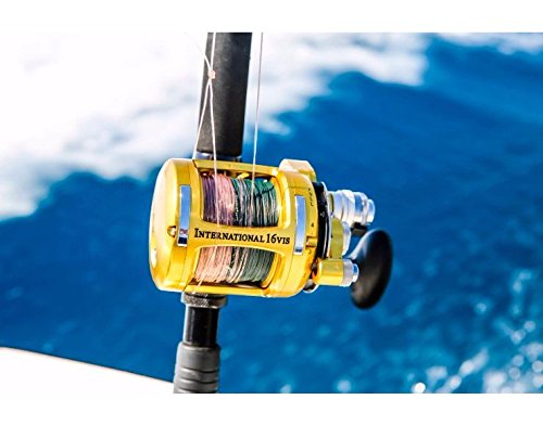 Reels Saltwater Lever Drag PENN INT80VISWS International Leverdrag Conventional 2-Speed Reel 80