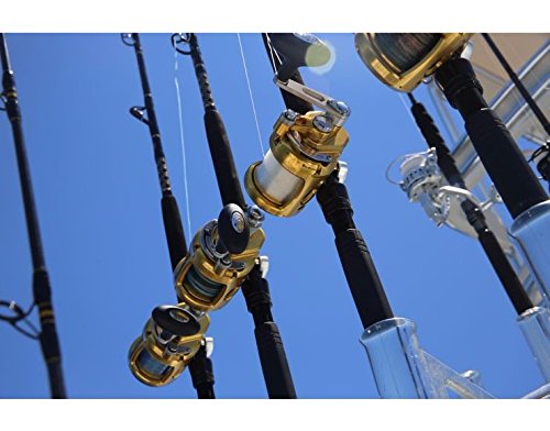 Reels Saltwater Lever Drag PENN INT80VISWS International Leverdrag Conventional 2-Speed Reel 80