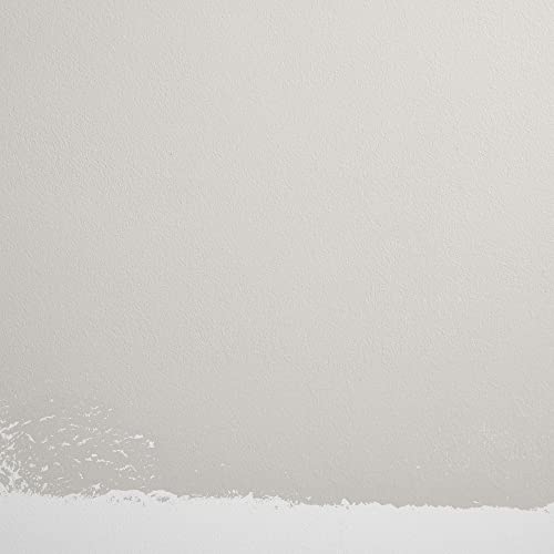 BACKDROP | Premium Interior Paint | Standard Semi Matte, Low Sheen Finish | Self-Priming, Low VOC, Green Wise Certified | RITUAL UNIONS – Neutral, light gray | 0.5 Gallon