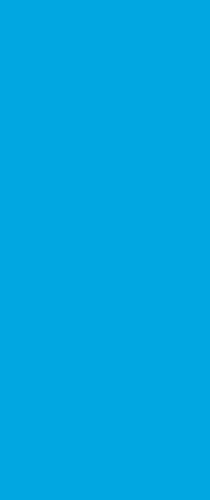 Smartline Solid Blue 28-Foot Round Liner | Overlap Style | 48-to-52-Inch Wall Height | 30 Gauge Virgin Vinyl | Designed for Steel Sided Above-Ground Swimming Pools