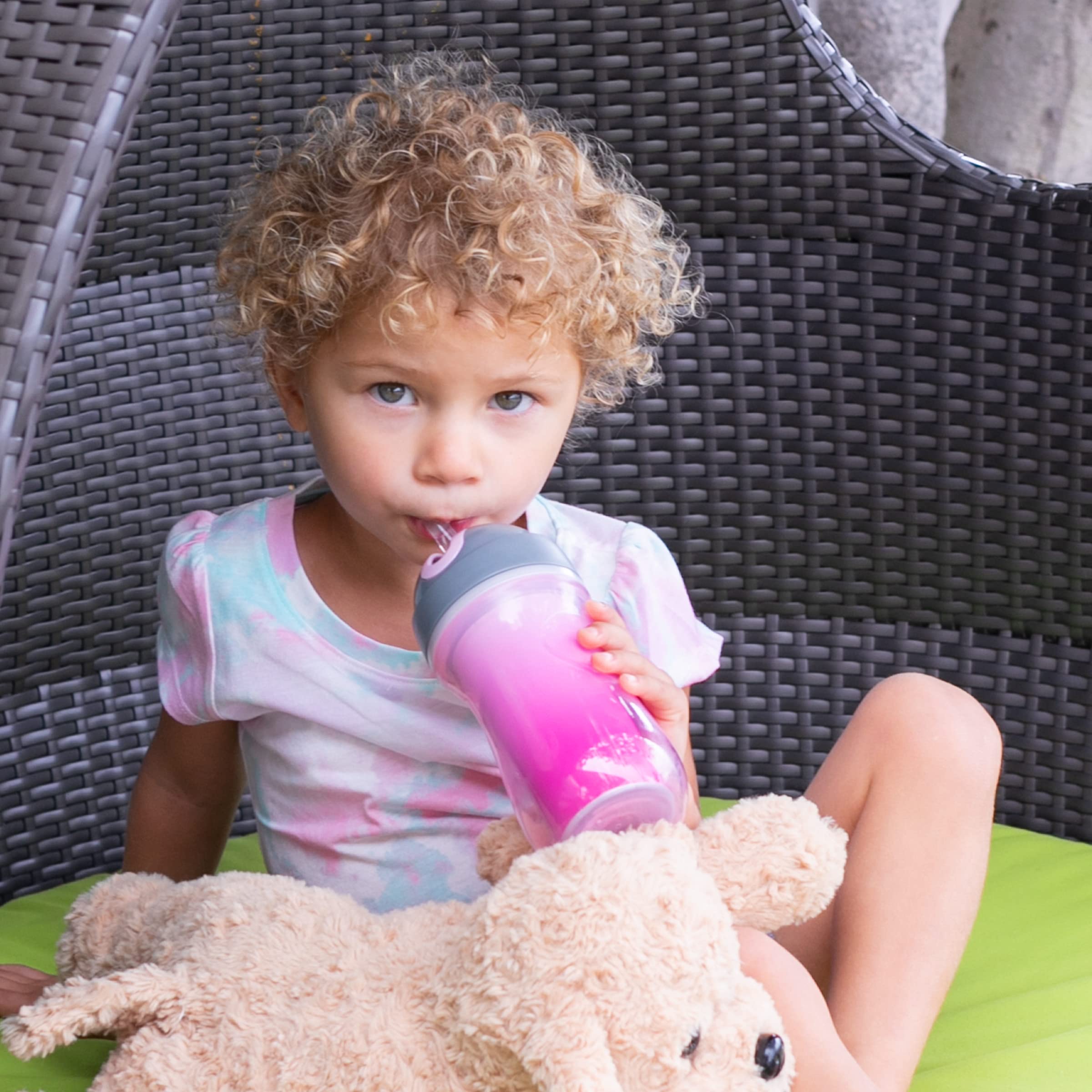 Chicco Insulated Flip-Top Spill-Free Straw Sippy Cup 9oz Pink/Purple (2pk)