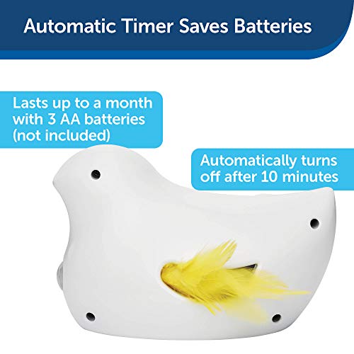 PetSafe Peek-A-Bird - Electronic Toy and Interactive Bird Hunt - Automatic Feather Toy for Bored and Anxious Cats - Kitten Teaser Toy - Automated Toy for Cat Enrichment and Exercise Small