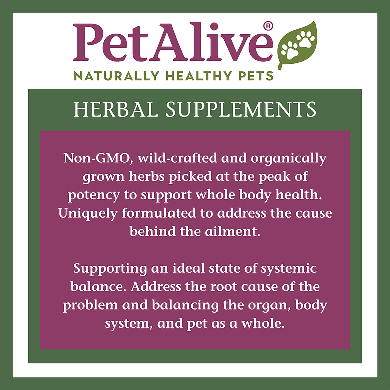Native Remedies PetAlive Urinary ComboPack for Pets