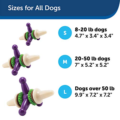 PetSafe Busy Buddy Jack Medium