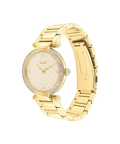 Coach Cary Women's Watch | Premium Fashion Timepiece for Her - Perfect for Day and Night | Water Resistant (Model 14504183)