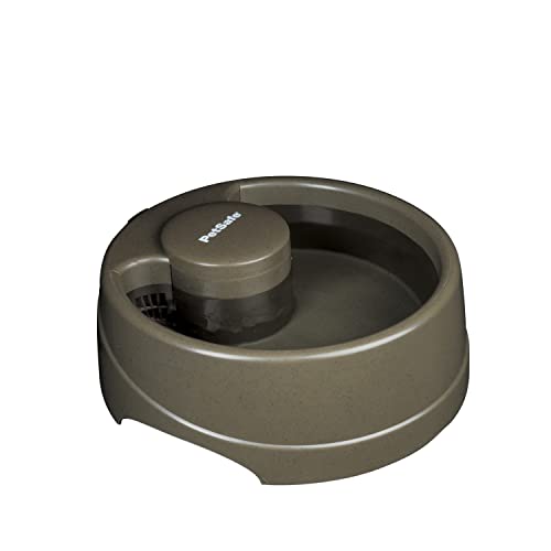 PetSafe Current Pet Water Fountain - Circulating Drinking Fountain for Cats and Dogs - Forest, Medium, 80 oz Capacity Water Dispenser - Carbon Filter Included - Easy to Clean Design