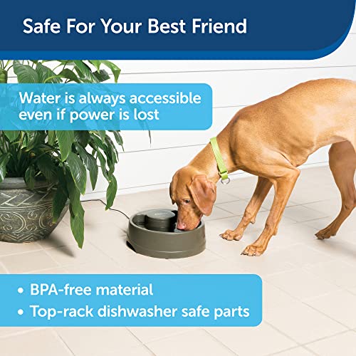 PetSafe Current Pet Water Fountain - Circulating Drinking Fountain for Cats and Dogs - Forest, Medium, 80 oz Capacity Water Dispenser - Carbon Filter Included - Easy to Clean Design