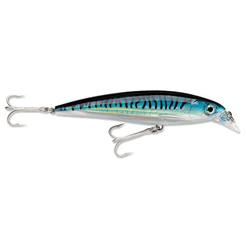 Rapala X-Rap Saltwater Fishing Lure (Blue Sardine, Size- 4)