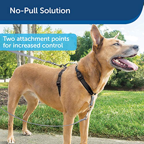 PetSafe 3 in 1 Dog Harness with Two Point Control Leash - Front D-Ring Helps Stop Pulling - Double-Ended Dog Leash Redirects Pulling - Self-Adjusting Padded Handle - Swivel Hardware Prevents Tangles