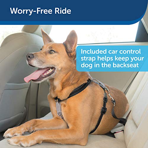 PetSafe 3 in 1 Dog Harness with Two Point Control Leash - Front D-Ring Helps Stop Pulling - Double-Ended Dog Leash Redirects Pulling - Self-Adjusting Padded Handle - Swivel Hardware Prevents Tangles