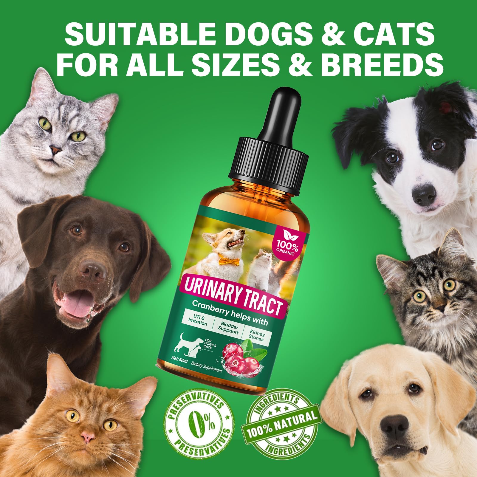 Cat & Dog UTI Treatment - Urinary Tract Support for Pets,Cranberry Kidney and Bladder Supplements, Pet Renal Health Care, Prevention and Treatment