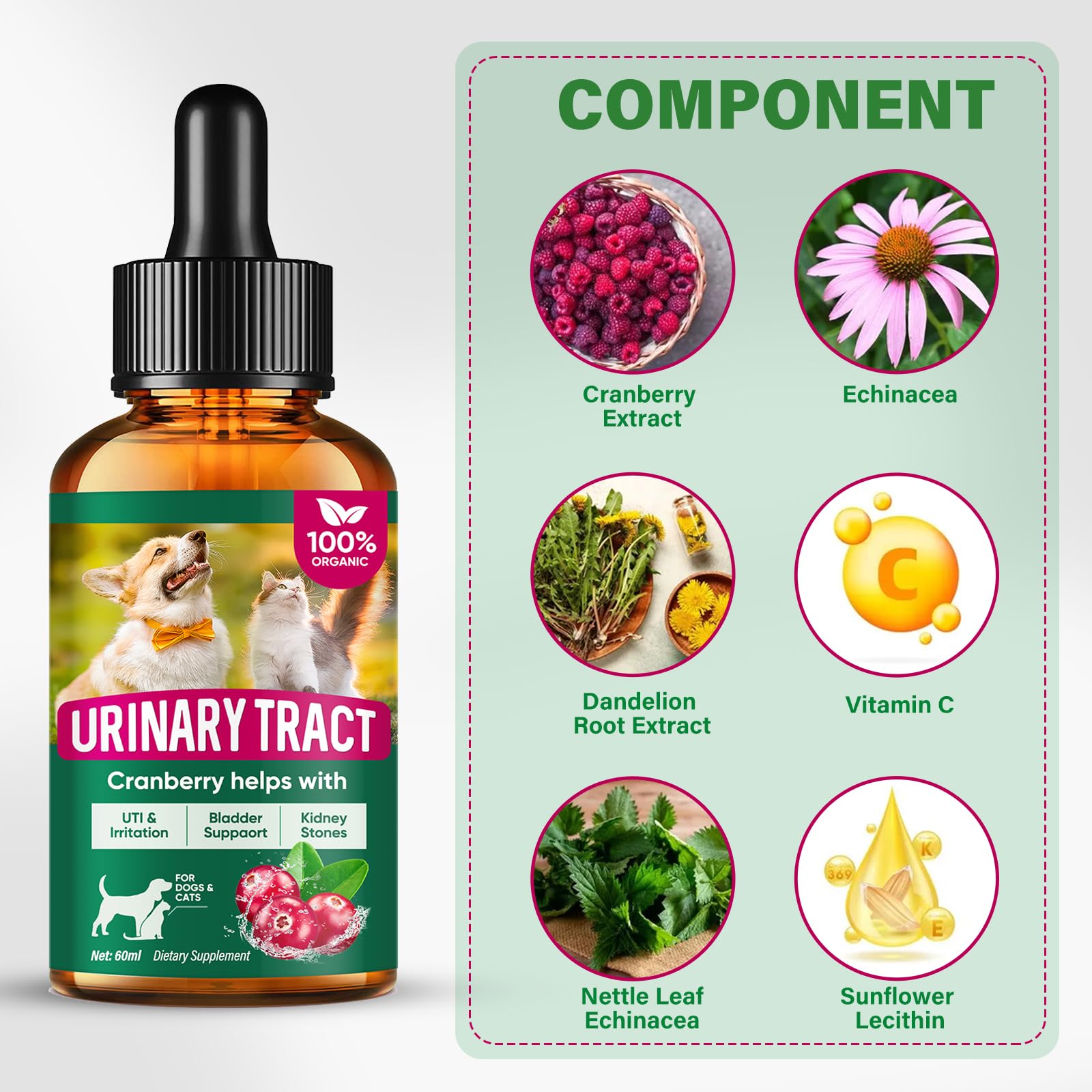 Cat & Dog UTI Treatment - Urinary Tract Support for Pets,Cranberry Kidney and Bladder Supplements, Pet Renal Health Care, Prevention and Treatment