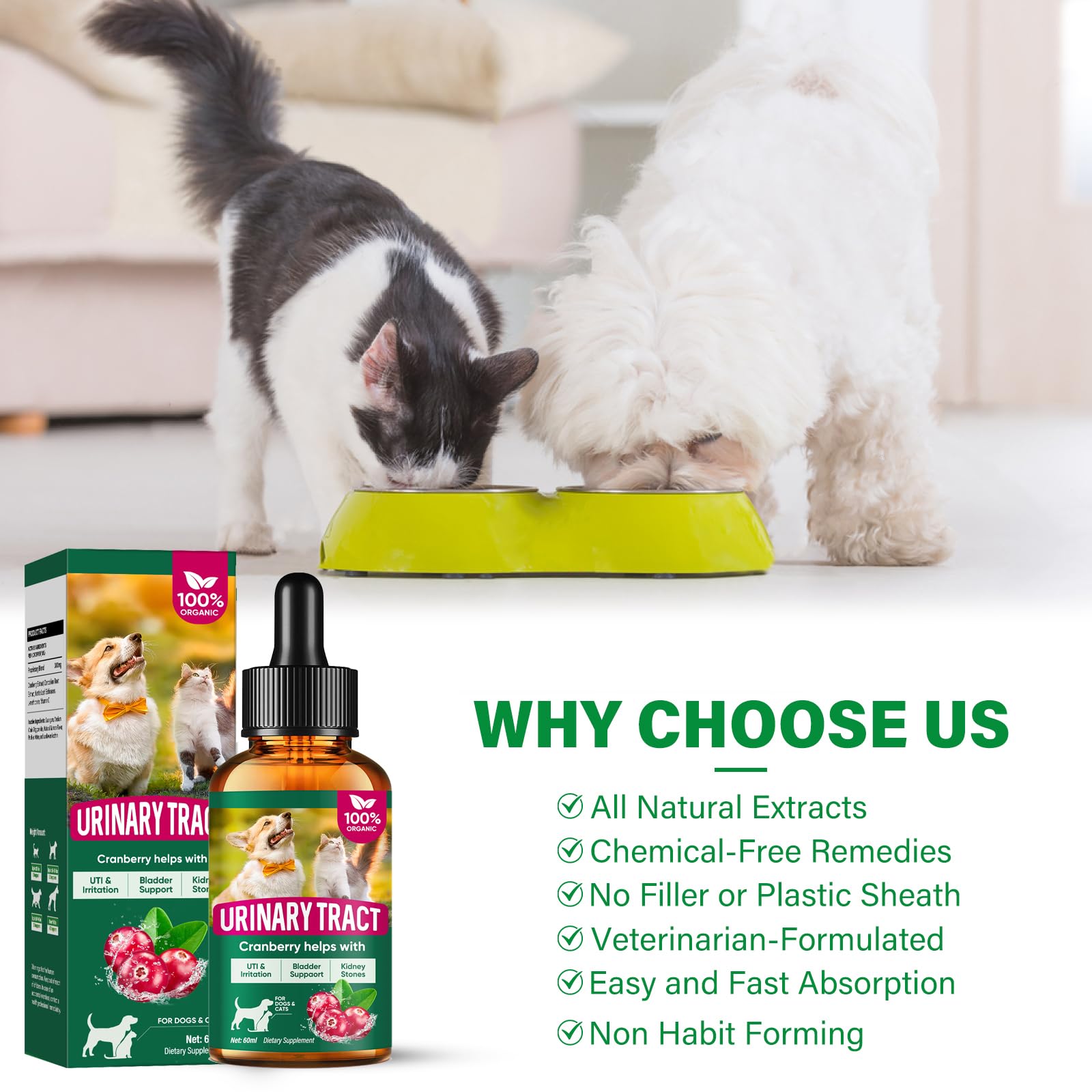 Cat & Dog UTI Treatment - Urinary Tract Support for Pets,Cranberry Kidney and Bladder Supplements, Pet Renal Health Care, Prevention and Treatment