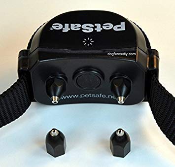 PetSafe Wireless Pet Containment System (2 Dog System - 3/4 Acre)