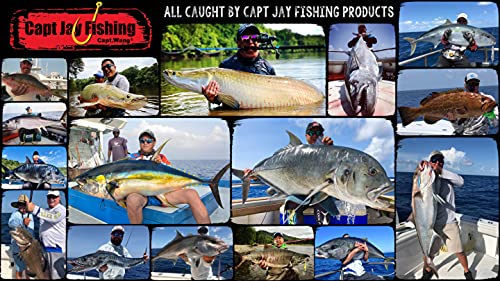 Capt Jay Fishing Deep Diving Fishing Lures Swimbait Sinking Lure Saltwater Trolling Lure (Blue Sardine, 185mm)