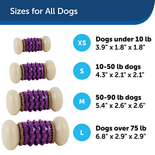 PetSafe Busy Buddy Nobbly Nubbly Treat Holding Dog Toy β Strong Chewers β Challenging - Treat Rings Included - Medium
