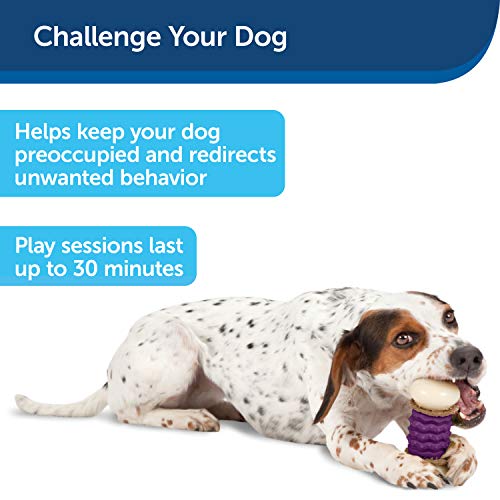 PetSafe Busy Buddy Nobbly Nubbly Treat Holding Dog Toy β Strong Chewers β Challenging - Treat Rings Included - Medium
