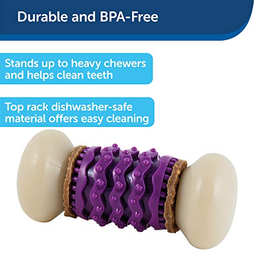 PetSafe Busy Buddy Nobbly Nubbly Treat Holding Dog Toy β Strong Chewers β Challenging - Treat Rings Included - Medium