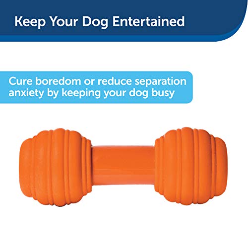 PetSafe Sportsmen Chuckle Interactive Dog Toy with Noise Maker - Use with Food or Treats