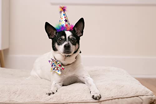 H&K Pet Pinwheel | Superstar (Small) | Birthday Velcro Collar Accessory for Dogs/Cats | Fun Pet Pinwheel Collar Attachment | Cute, Comfortable Pet Accessory